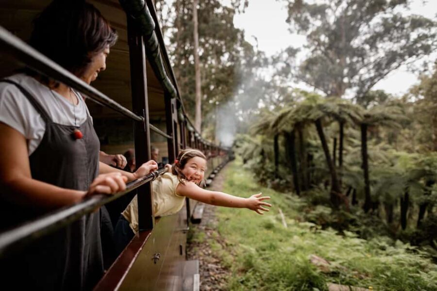 Melbourne: Puffing Billy Steam Train & Penguin Parade Tour - Value and Cost Analysis