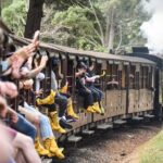 Melbourne Puffing Billy Train and Penguin Parade Day Tour Escape - A Closer Look at the Itinerary