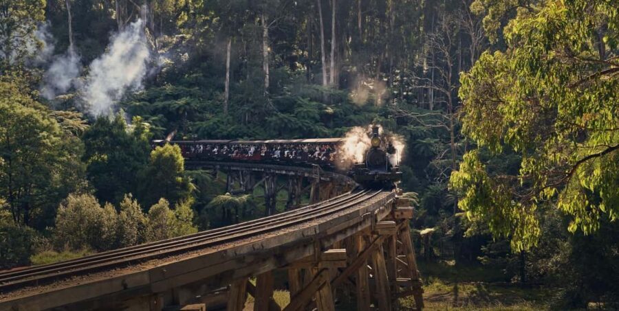 Melbourne: Puffing Billy Train & Healesville & Winery Tour - What to Expect from Each Part of the Tour