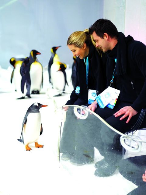 Melbourne: SEA LIFE Aquarium Entrance Ticket - Breaking Down the Experience: What Youll See and Do