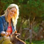 Melbourne Shore Excursion, Wine Region, Wildlife, Shared Tour - A Close Look at the Itinerary