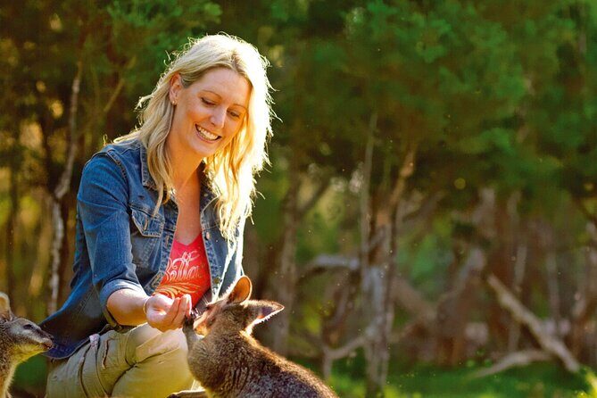 Melbourne Shore Excursion, Wine Region, Wildlife, Shared Tour - A Close Look at the Itinerary