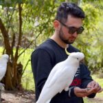 Melbourne Sky High - Private Bush Tour - Transportation & Timing