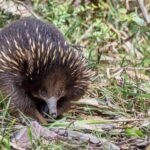 Melbourne to Great Ocean Road & Grampians 3 Day Escape - A Closer Look at the Itinerary