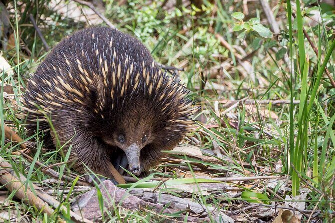 Melbourne to Great Ocean Road & Grampians 3 Day Escape - A Closer Look at the Itinerary