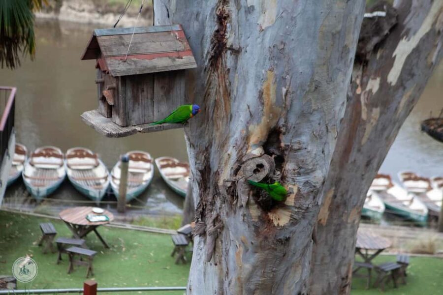 Melbourne: Walk the Yarra to Historic Fairfield Boathouse - A Close Look at What’s on Offer