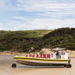 Melbourne: Wilsons Promontory Morning Wilderness Cruise - What’s Included and What You Should Know