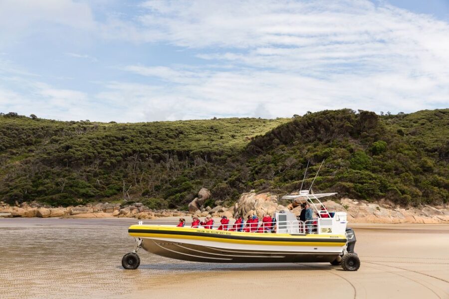 Melbourne: Wilsons Promontory Morning Wilderness Cruise - What’s Included and What You Should Know