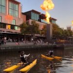 Melbourne: Yarra River Twilight Waterbike Tour - Itinerary Breakdown: From Gardens to the Heart of the City