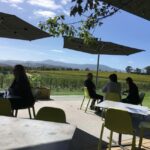 Melbourne: Yarra Valley Wineries Private Car Tour - The Itinerary Breakdown