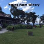 Melbourne: Yarra Valley Winery Private Tour with Lunch - Discovering the Yarra Valley: An Overview