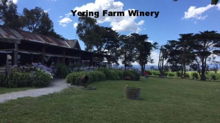 Melbourne: Yarra Valley Winery Private Tour with Lunch - Discovering the Yarra Valley: An Overview