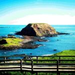 MelbournePhillip Island Tour 1 Day Tour - Key Points