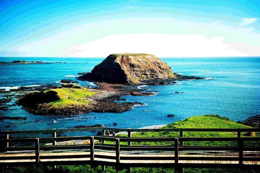 MelbournePhillip Island Tour 1 Day Tour - Key Points