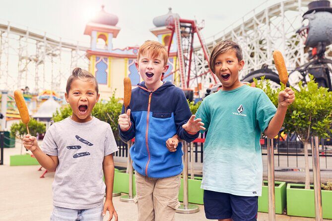 Melbournes Luna Park General Entry with Unlimited Rides - Who Should Visit Luna Park?