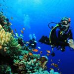 Menjangan Island Bali Diving Activity - The Sum Up: Is It Worth It?