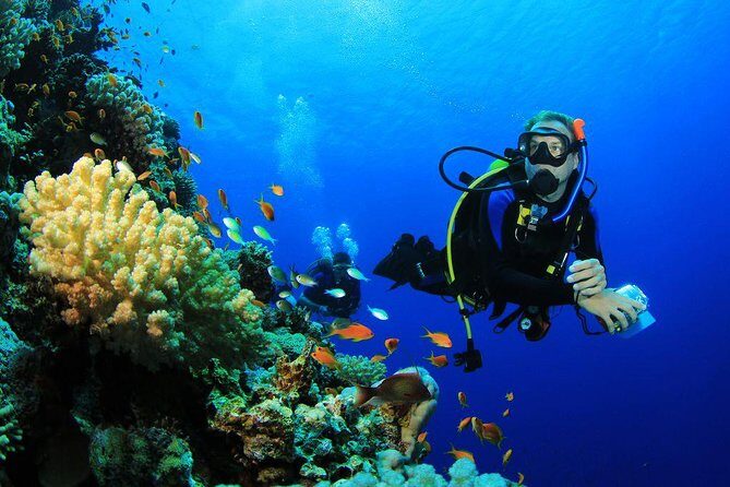 Menjangan Island Bali Diving Activity - The Sum Up: Is It Worth It?