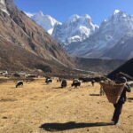 Mera peak trek - Who Should Consider This Trek?
