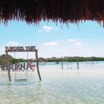 Mérida: Beach tour and restaurant with ocean view with a local guide - Who Will Enjoy This Tour?
