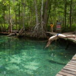 Merida: Celestun Boat Ride Mangrove Experience! Beach Time - Who Will Love This Tour?
