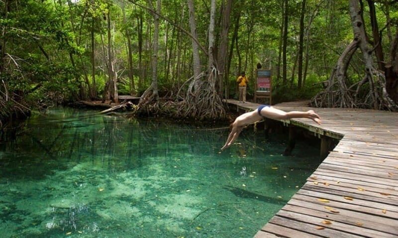 Merida: Celestun Boat Ride Mangrove Experience! Beach Time - Who Will Love This Tour?