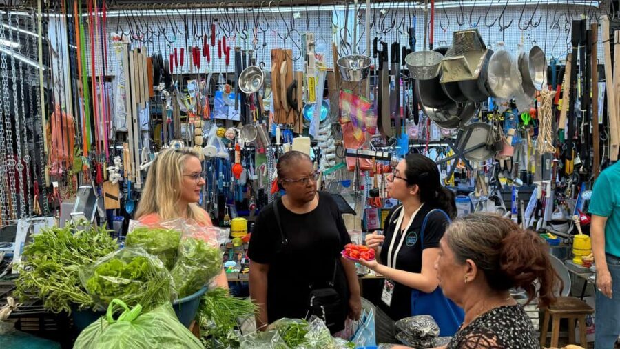 Mérida Cooking Class, taste of Yucatan - Who Should Consider This Tour?