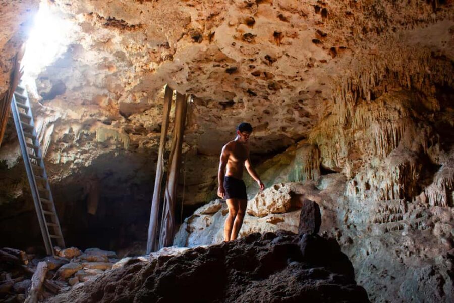 Mérida: Jungle & Cenotes Tour with Horseriding & Lunch - An In-Depth Look at the Tour Experience