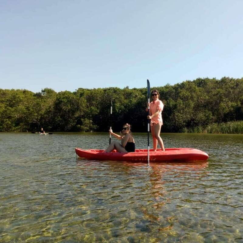 Merida: Kayaking and Bird Sanctuary in Sisal - Practical Details: What You Need to Know
