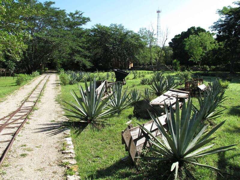 Merida: Yucatan Cenotes and Hacienda Full-Day Trip with Food - Why This Tour Offers Great Value
