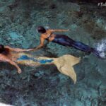 Mermaid for a Day Adventure - The Real Magic: Reviews & Authentic Insights