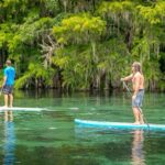 Merritts Mill Pond Eco Adventure - Practical Tips for Your Merritts Mill Pond Eco Experience