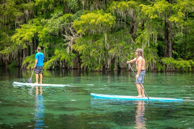 Merritts Mill Pond Eco Adventure - Practical Tips for Your Merritts Mill Pond Eco Experience