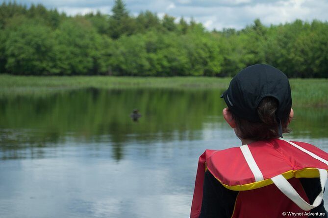 Mersey River Quickie Adventure - 2 Hours - Authentic Feedback from Participants