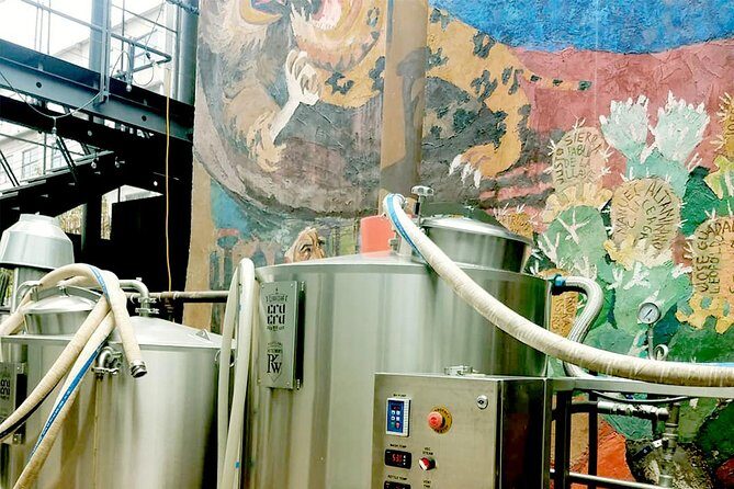 Mexican Craft Beer Tasting Experience - Authenticity and Learning