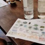 Mexican Spirits Tasting: Experience the Essence of Tradition - Price and Value