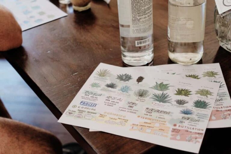 Mexican Spirits Tasting: Experience the Essence of Tradition