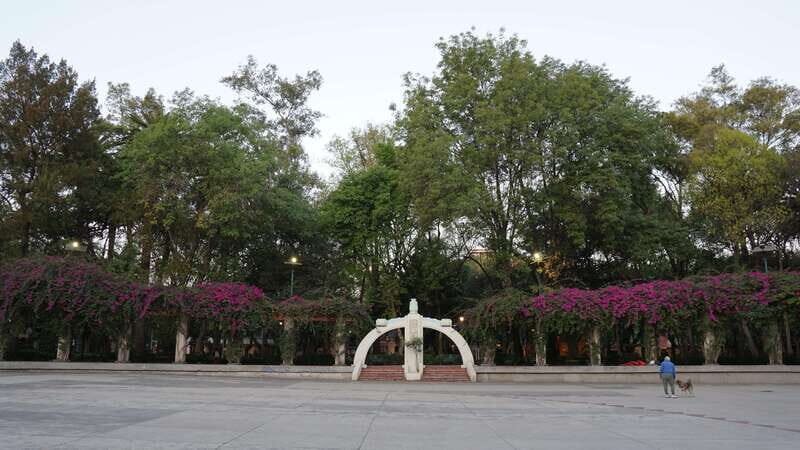 Mexico City: 19 City Highlights Bicycle Tour - The Detailed Itinerary: Sights and Highlights