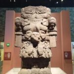 Mexico City: Chapultepec Park and Museums Walking Tour - What’s Included and What’s Not