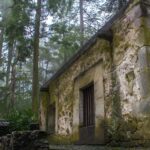 Mexico City: Desierto de los Leones Hike & Ex-Convent Tour - The Heart of the Tour: Desierto de los Leones National Park