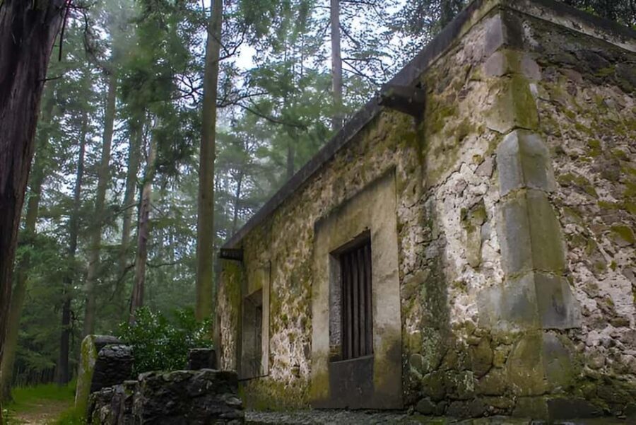 Mexico City: Desierto de los Leones Hike & Ex-Convent Tour - The Heart of the Tour: Desierto de los Leones National Park