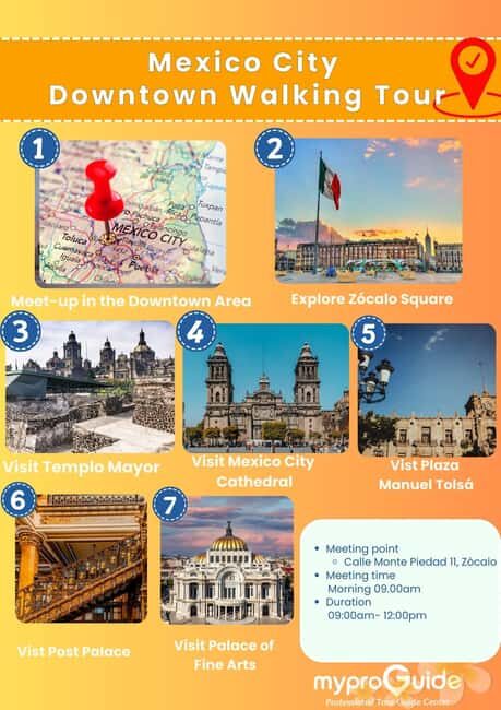 Mexico City: Downtown Walking Tour (CH, JP, ENG or SPA/ESP) - Practical Tips and Experience Details