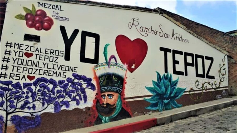 Mexico City: Explore Mexican Gardens and Tepoztlan Town - Who Is This Tour Best For?