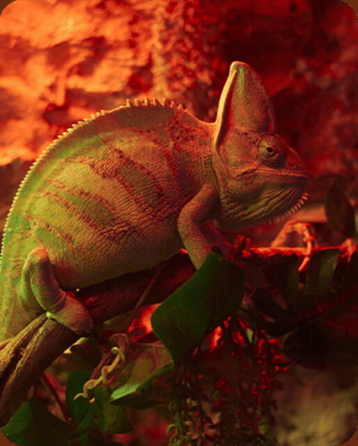 Mexico City: Fast Pass Ticket to Acuarium Inbursa - The Value of the Fast Pass