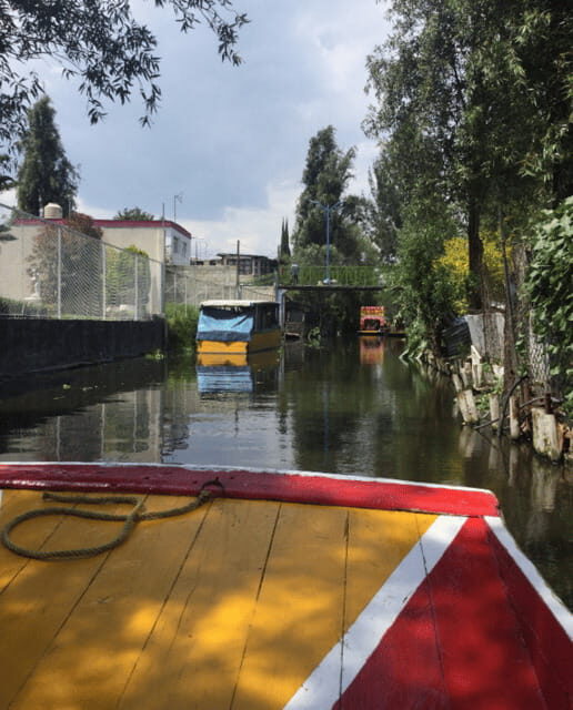 Mexico City: Frida Kahlo, Coyoacán, and Xochimilco Day Tour - What We Loved (and What to Keep in Mind)