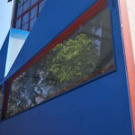 Mexico City: Frida Kahlo-Diego Rivera Studio House Tour - The Experience: What Youll See and Learn
