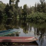 Mexico City Layover Tour Art, Culture and Color - Exploring Mexico City: Practical Details and What to Expect