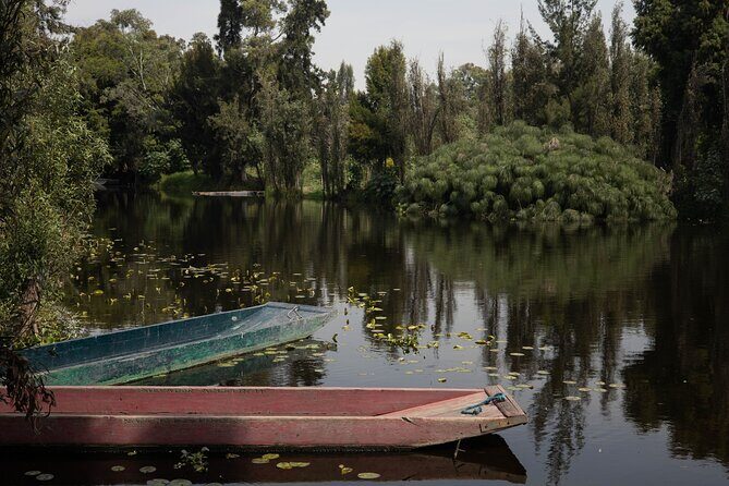 Mexico City Layover Tour Art, Culture and Color - Exploring Mexico City: Practical Details and What to Expect