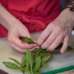 Mexico City: Mexican Cooking Class - Why You’ll Love This Cooking Class