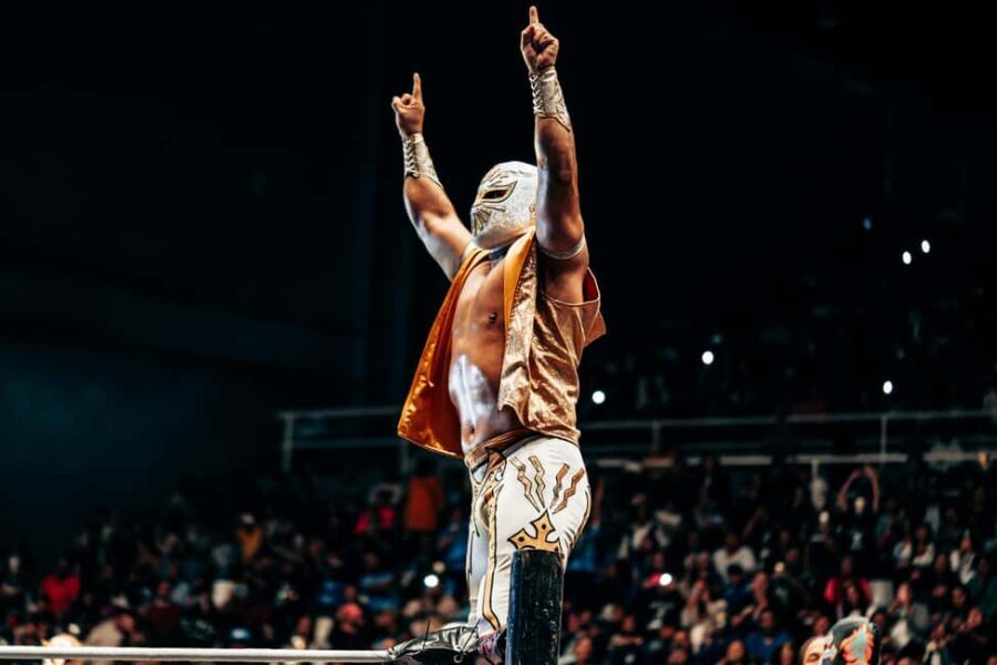Mexico City: Mexican evening, lucha libre, and tequila - What Youll Love About This Experience
