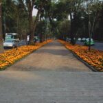 Mexico City: Roma & Condesa Private & Personalized Walking Tour - The Final Word